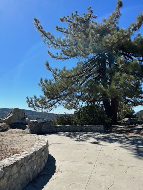 About Gimmick Rally | Porsche Parade 2023