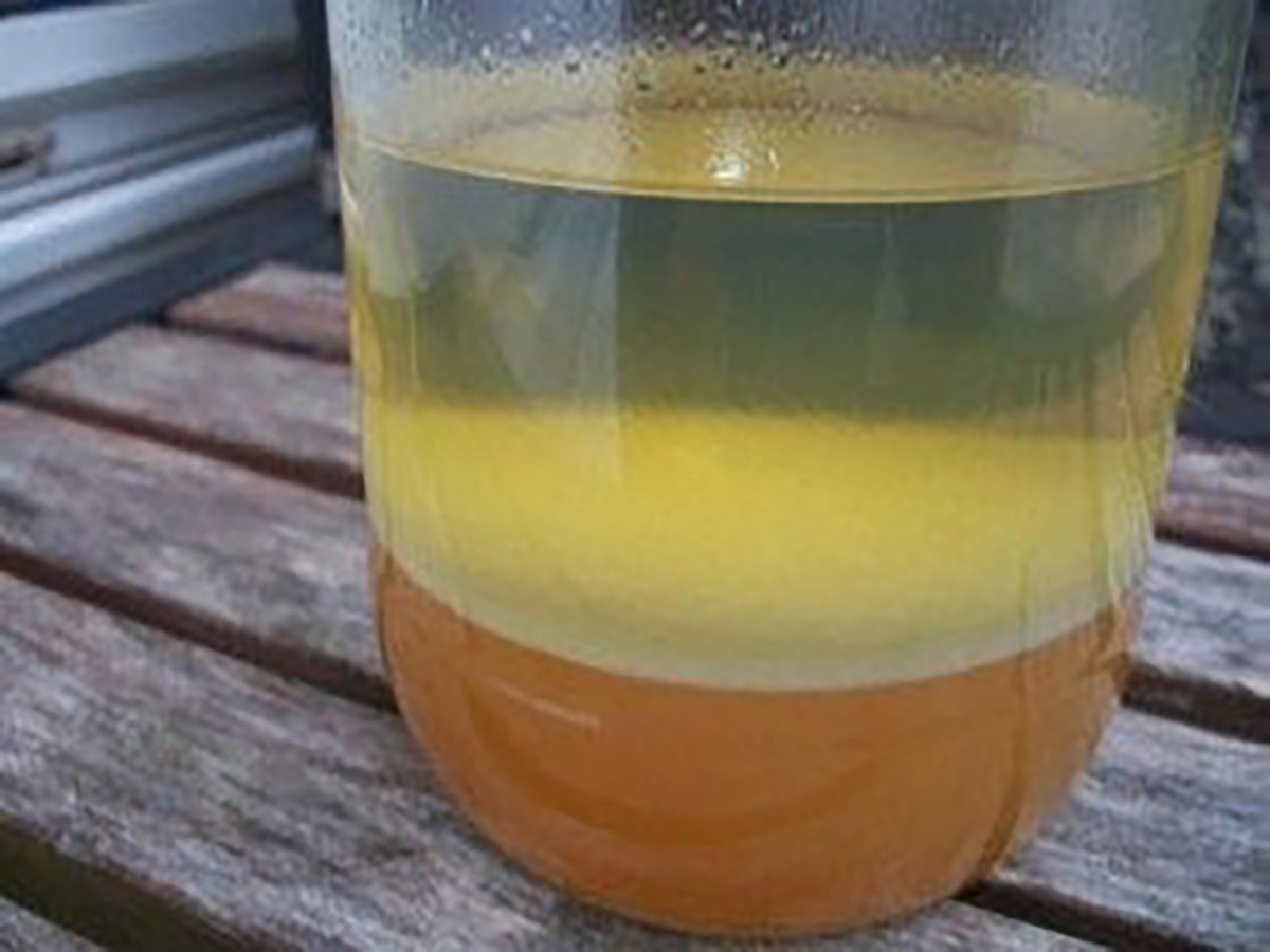 Who Knew Learning About Fuel Could Be So Interesting?! | PCA Tech Tips ...