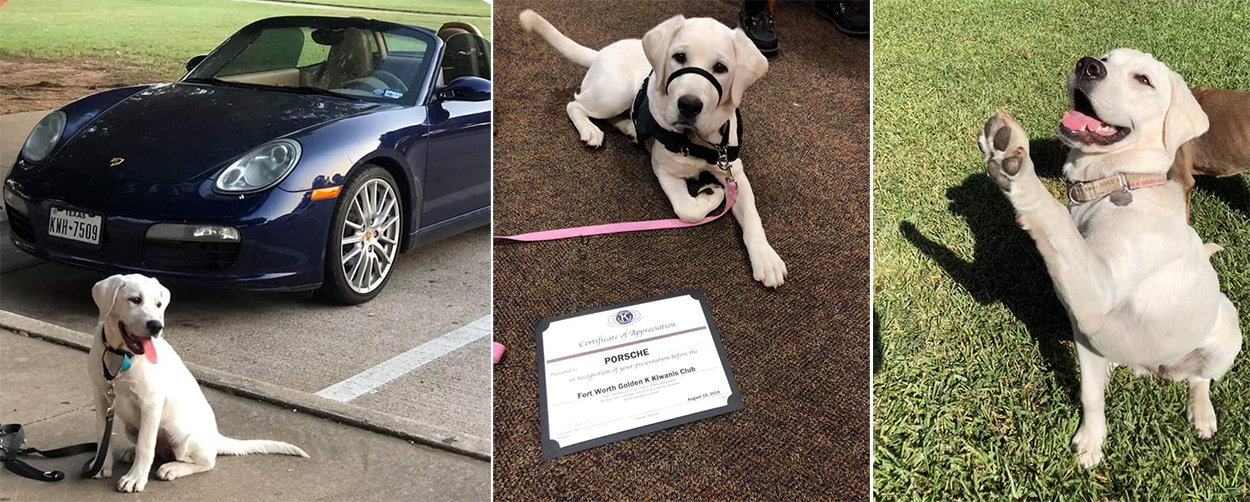 Members Making a Difference | The Porsche Club of America