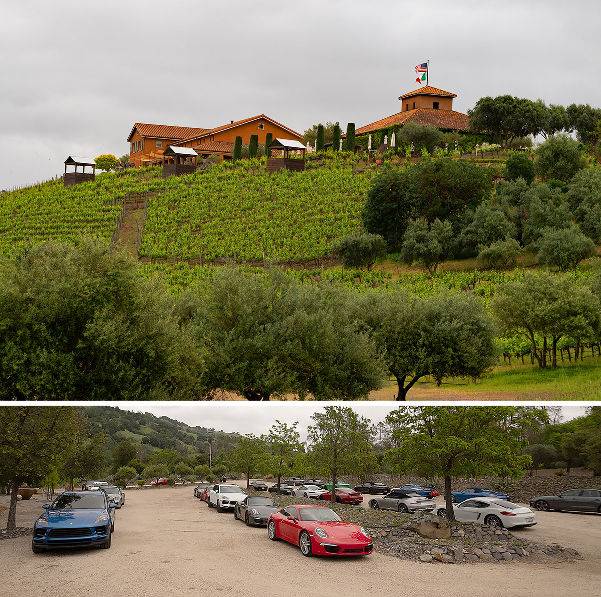 Treffen Wine Country delighted with friends, drives, and farm-to-table ...